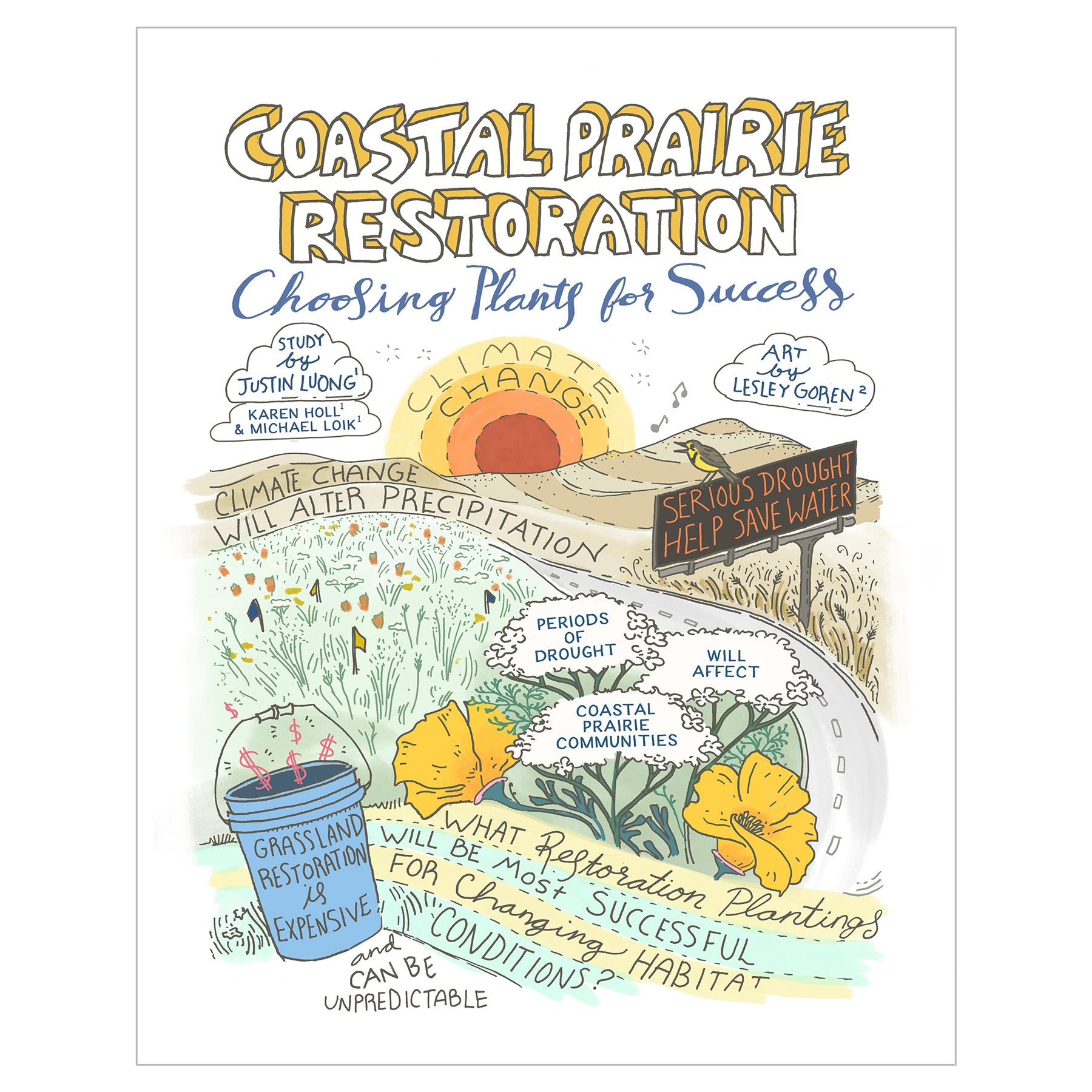 Coastal Prairie Restoration: Choosing Plants for Success – LesleyGoren